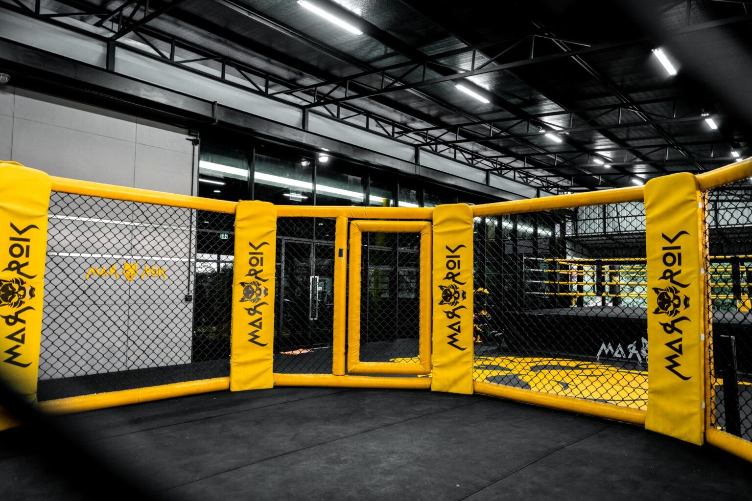 Why MMA Training is the Ultimate Workout for Fitness & Strength